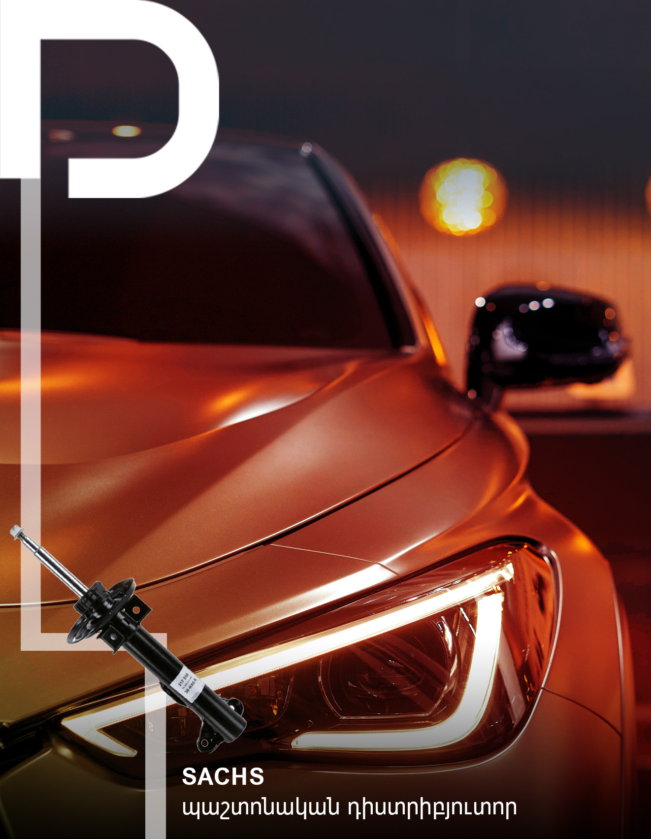 Sachs Armenia - Official Distributor of Drive Motors