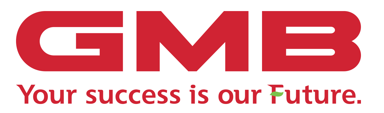 GMB Armenia - Official Distributor of Drive Motors